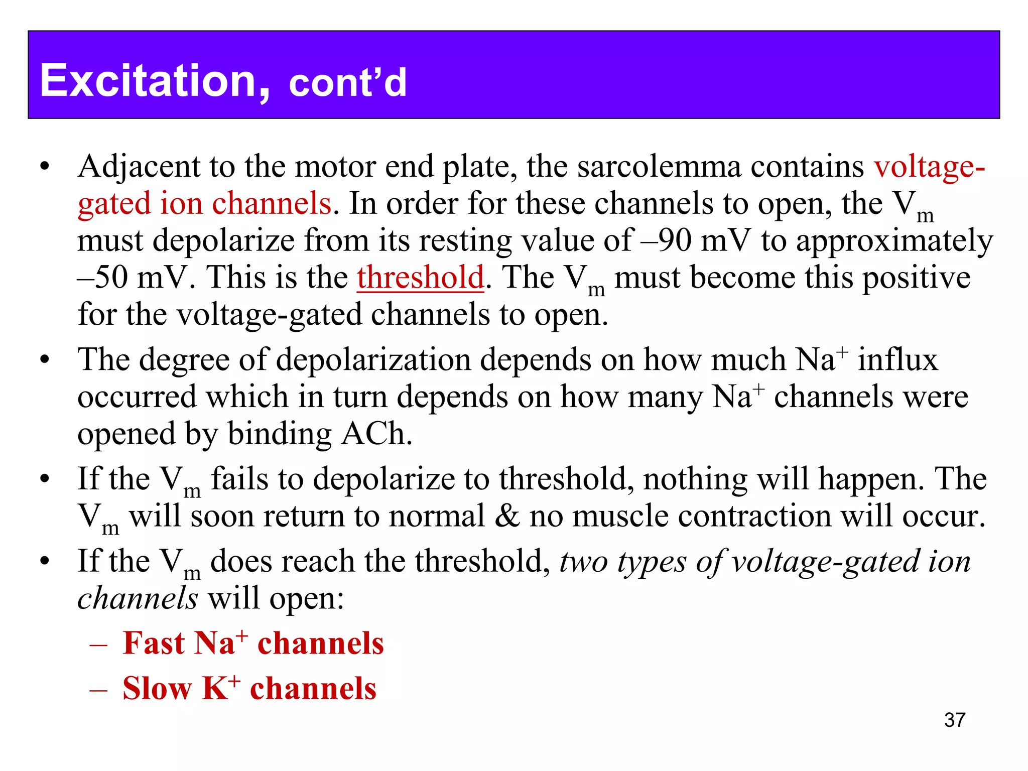 Unit Three - Excitable Tissues (Muscle).ppt