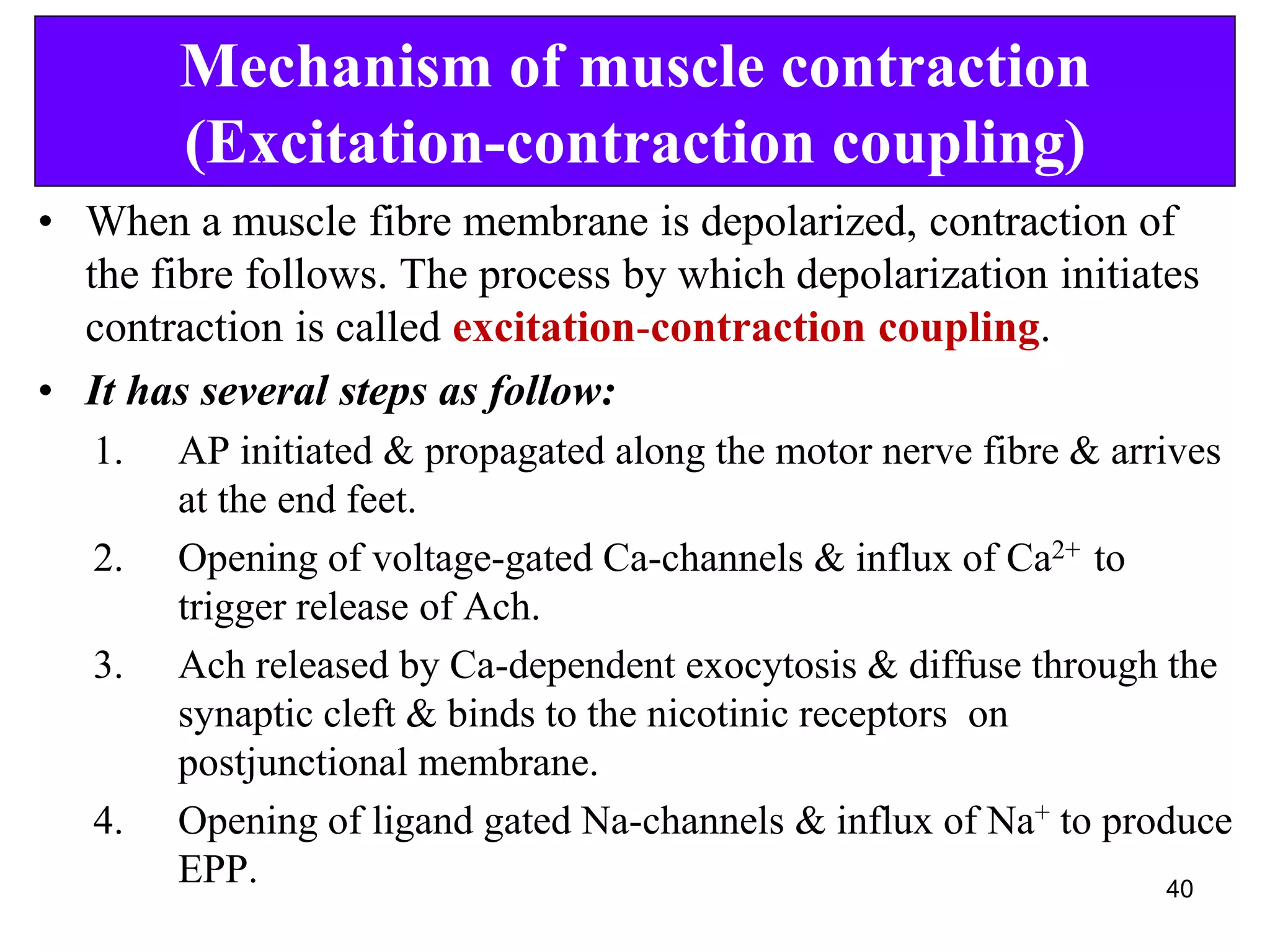 Unit Three - Excitable Tissues (Muscle).ppt