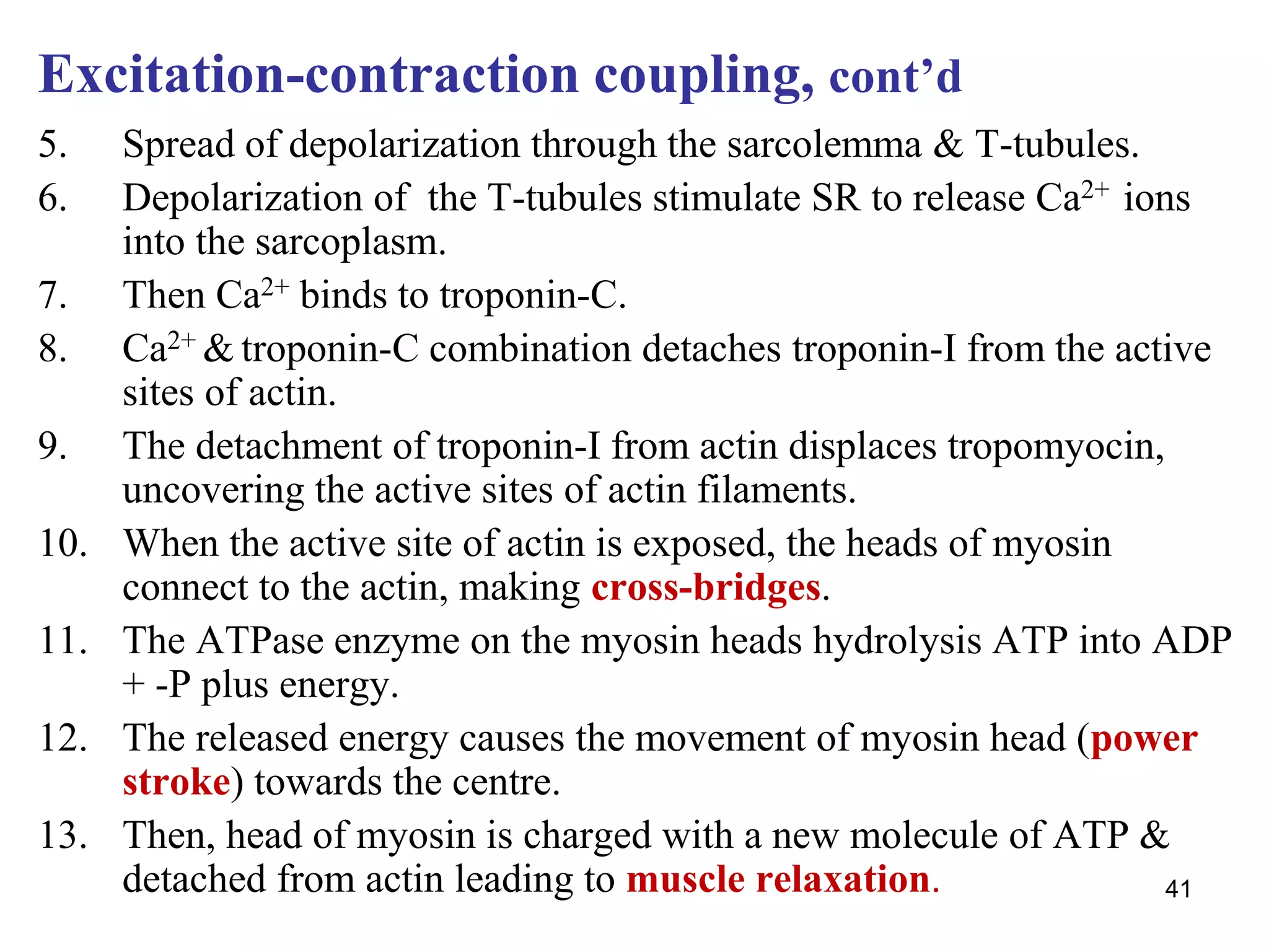 Unit Three - Excitable Tissues (Muscle).ppt