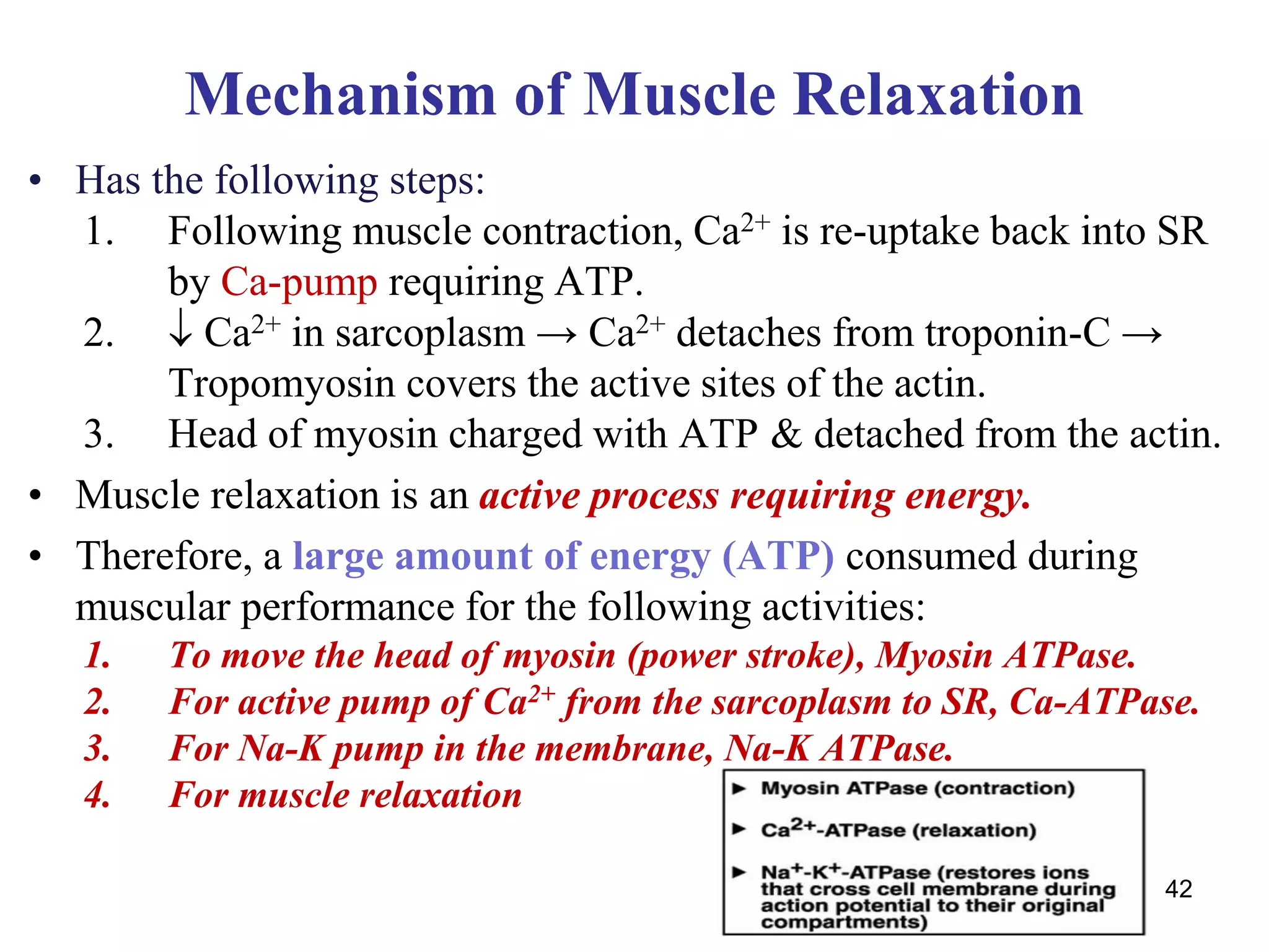 Unit Three - Excitable Tissues (Muscle).ppt
