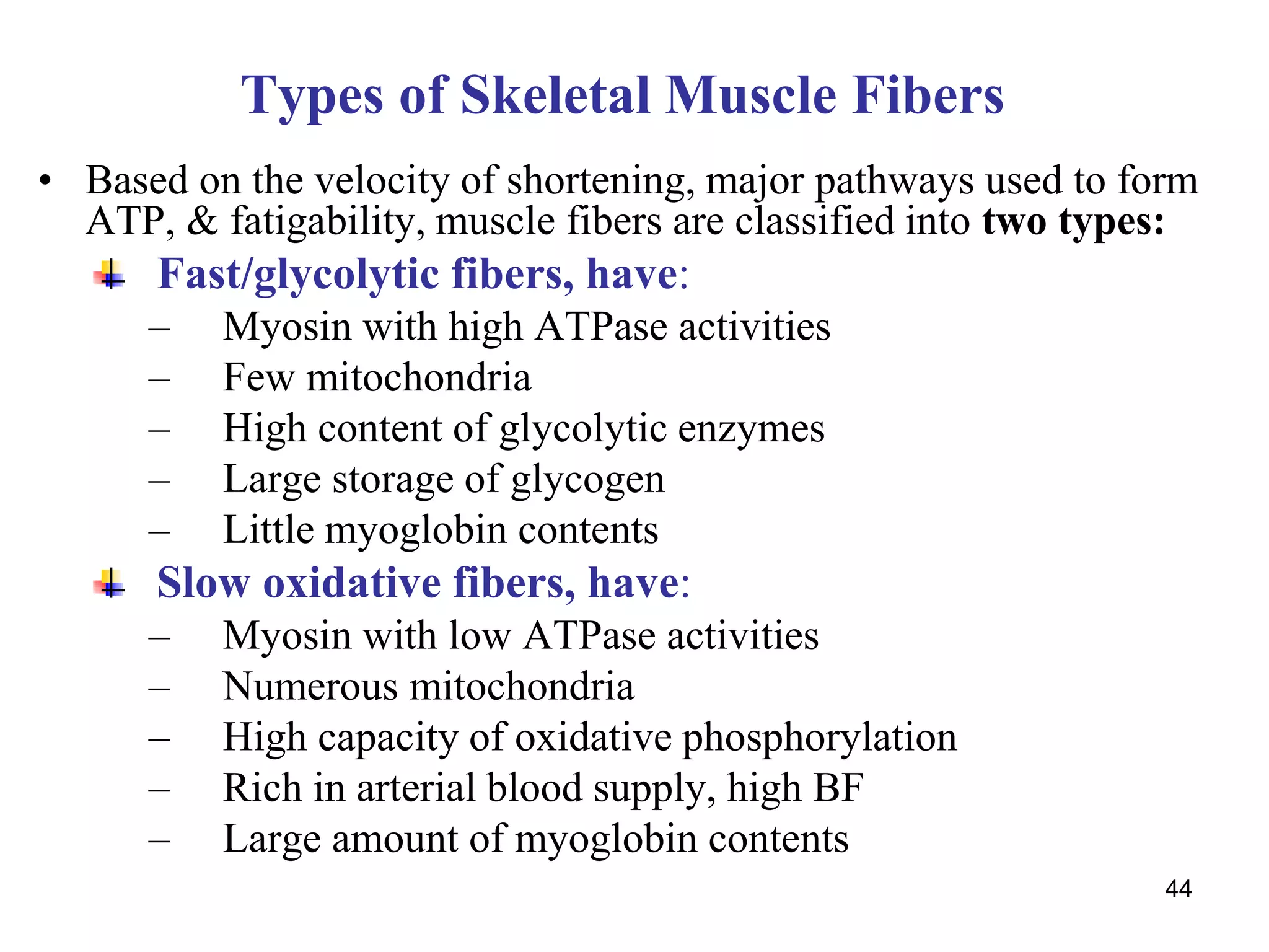 Unit Three - Excitable Tissues (Muscle).ppt