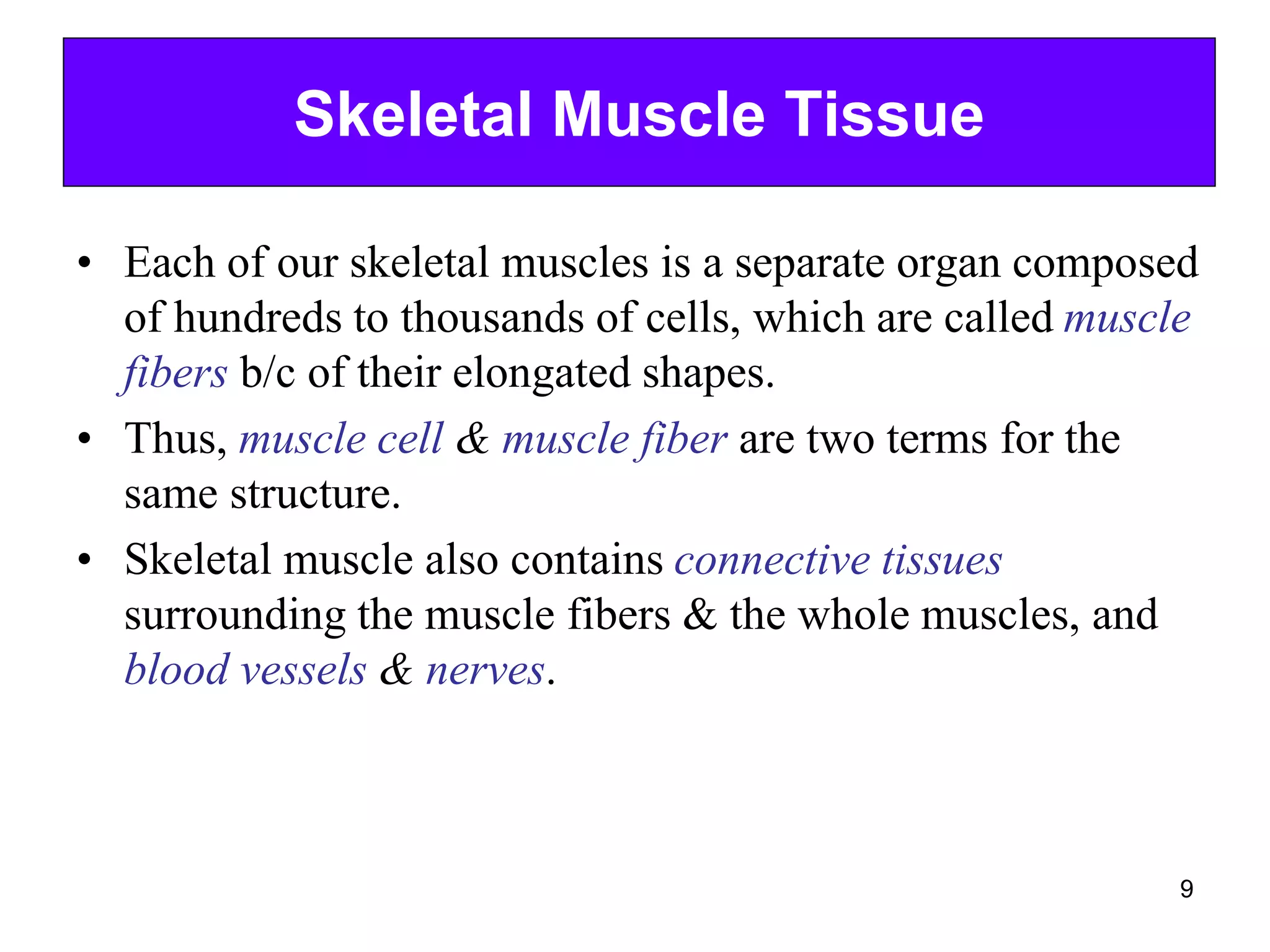 Unit Three - Excitable Tissues (Muscle).ppt