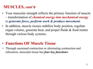 Unit Three - Excitable Tissues (Muscle).ppt