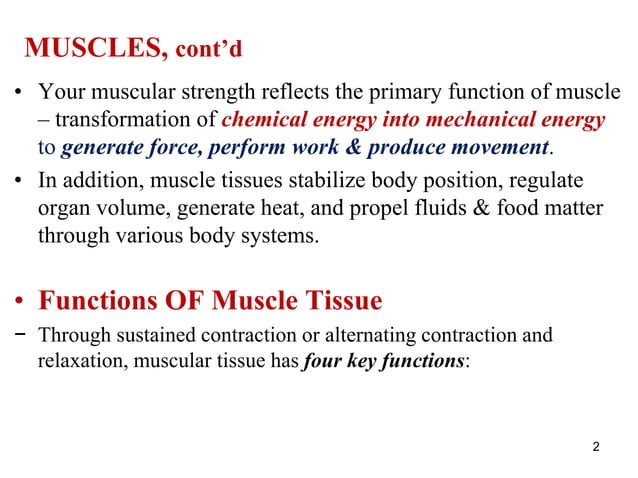 Unit Three - Excitable Tissues (Muscle).ppt