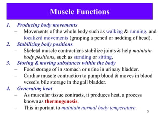 Unit Three - Excitable Tissues (Muscle).ppt