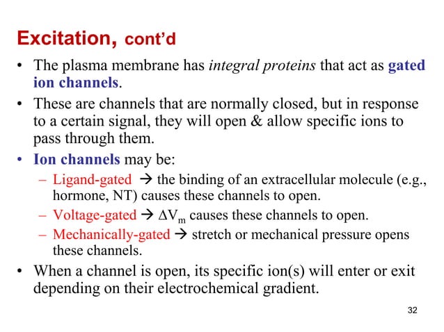 Unit Three - Excitable Tissues (Muscle).ppt