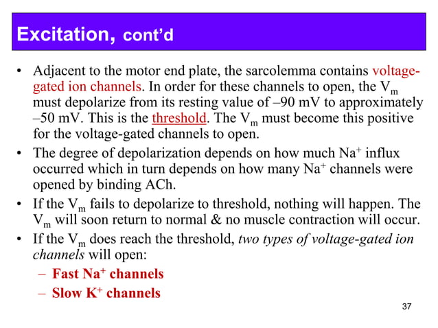 Unit Three - Excitable Tissues (Muscle).ppt