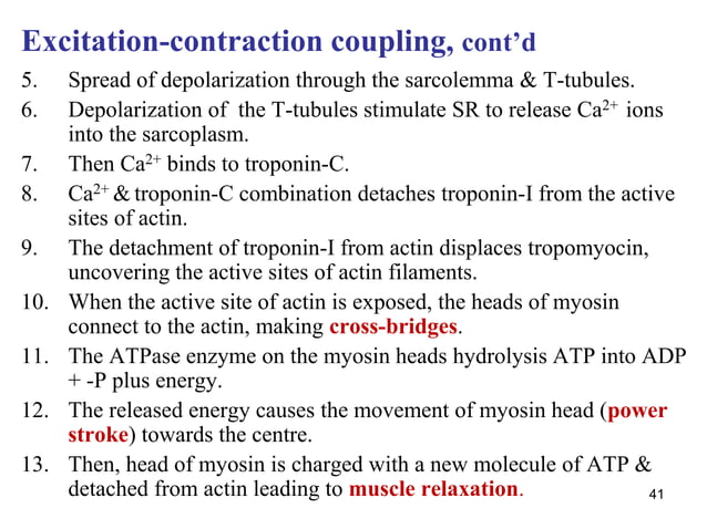 Unit Three - Excitable Tissues (Muscle).ppt