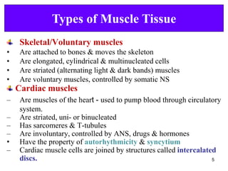 Unit Three - Excitable Tissues (Muscle).ppt