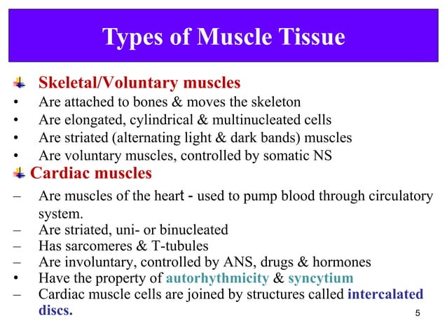 Unit Three - Excitable Tissues (Muscle).ppt