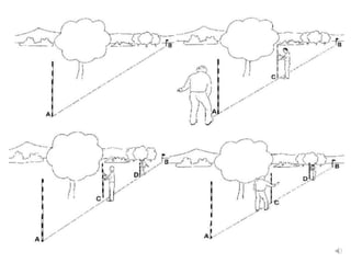 Ranging and types.pptx