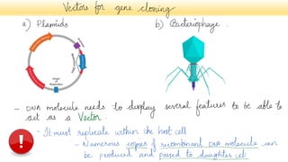 Plasmids and Bacteriophage | Vectors for Cloning | Arman Firoz | Short ...