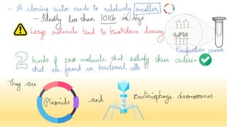 Plasmids and Bacteriophage | Vectors for Cloning | Arman Firoz | Short ...