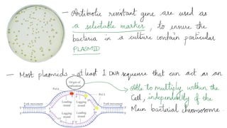 Plasmids and Bacteriophage | Vectors for Cloning | Arman Firoz | Short ...