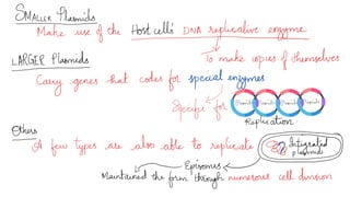 Plasmids and Bacteriophage | Vectors for Cloning | Arman Firoz | Short ...