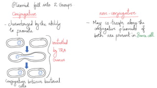 Plasmids and Bacteriophage | Vectors for Cloning | Arman Firoz | Short ...