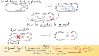 Plasmids and Bacteriophage | Vectors for Cloning | Arman Firoz | Short ...