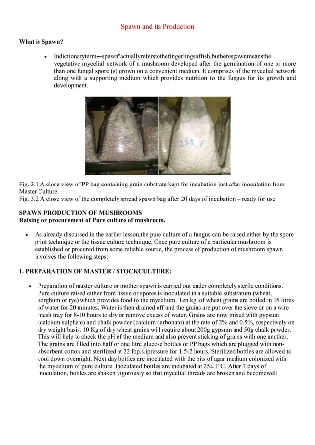 4. SPAWN AND ITS PRODUCTION.docx