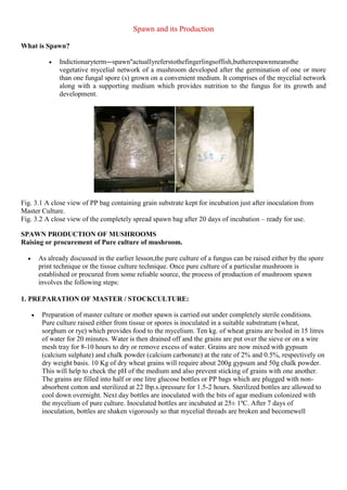 How Mushroom Spawn is Produced | PDF