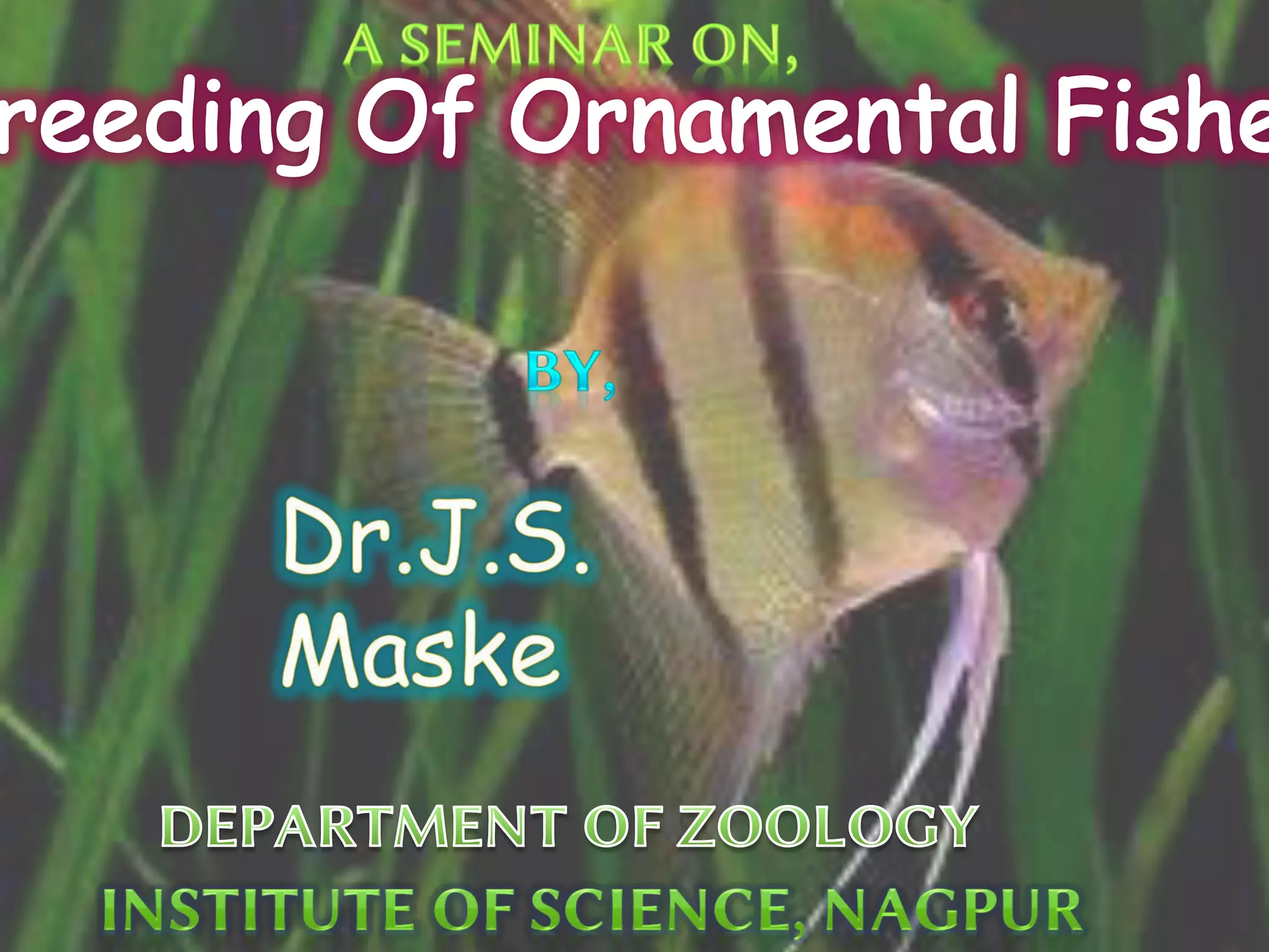 BREEDING SYSYTEM OF ORNAMENTAL FISH KEEPING 00607KD | PPT