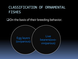 BREEDING SYSYTEM OF ORNAMENTAL FISH KEEPING 00607KD | PDF