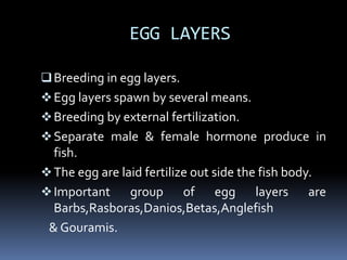 BREEDING SYSYTEM OF ORNAMENTAL FISH KEEPING 00607KD | PDF