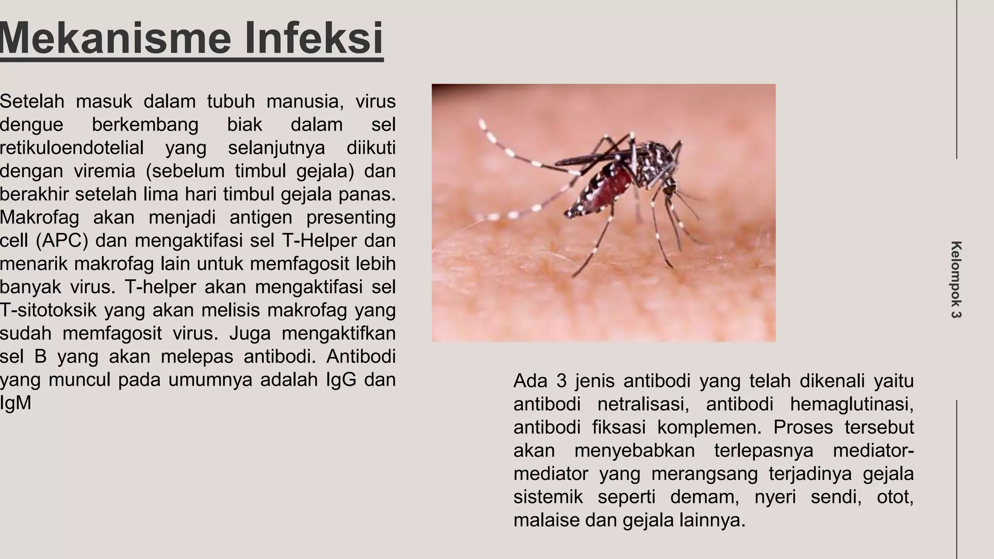 Pengobatan demam berdarahpptx | PPTX