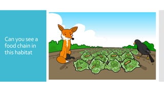 4.food_chains_and_food_webs ste 7.pptx