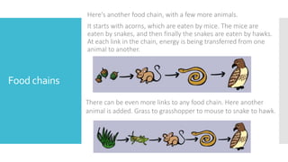 4.food_chains_and_food_webs ste 7.pptx