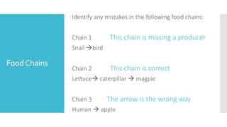 4.food_chains_and_food_webs ste 7.pptx