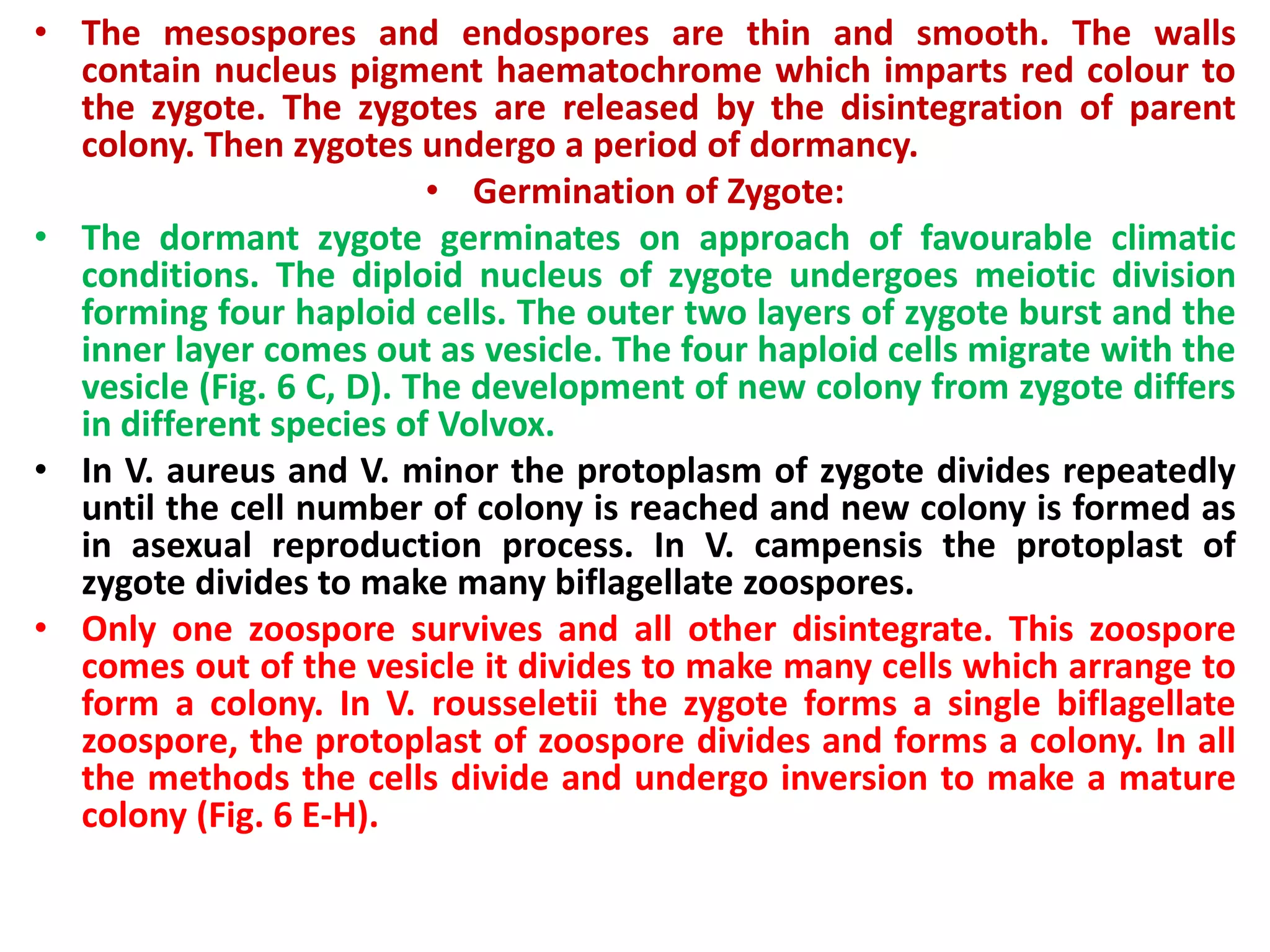 4. Volvox. Dr. Thirunahari Uagandhar pptx | PPTX