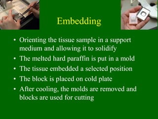 4. Handling of surgical Specimens - II.pdf