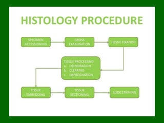 4. Handling of surgical Specimens - II.pdf