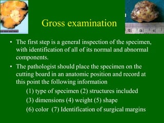 4. Handling of surgical Specimens - II.pdf