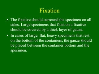 4. Handling of surgical Specimens - II.pdf