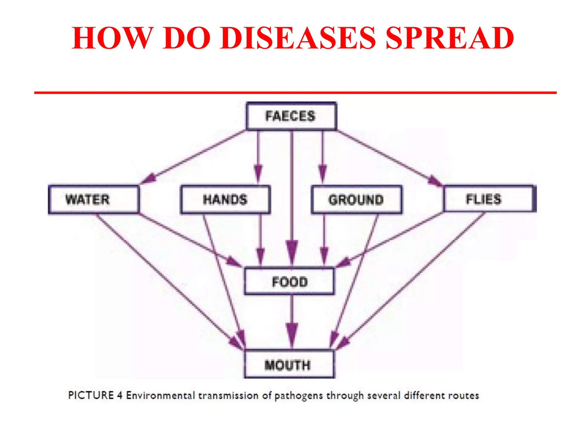 4. INFECTIOUS DISEASES.WBD.pdf