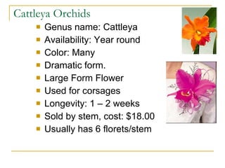 orchids | PPT