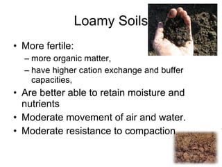 4 22 soil fertility & texture | PPT