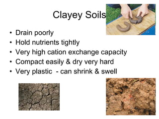 4 22 soil fertility & texture | PPT