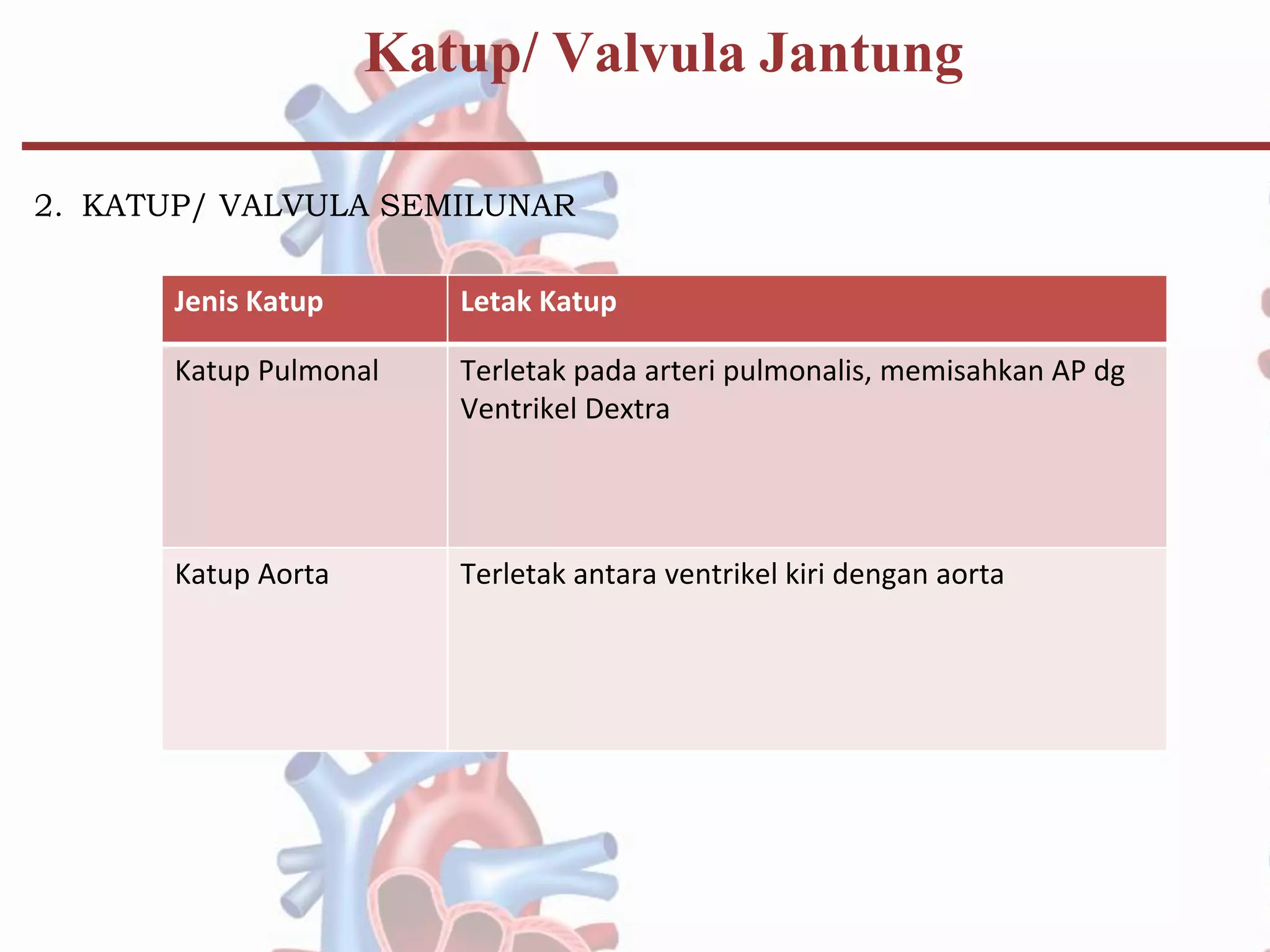 4. AnFis Kardiovaskuler. pptx.pptx