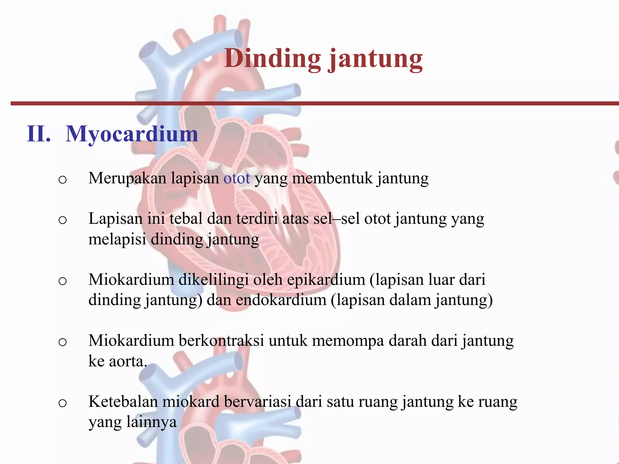 4. AnFis Kardiovaskuler. pptx.pptx