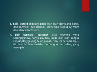 4. SIFAT FISIKA DAGING IKAN.pptx