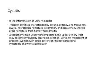 4. UTI in preg.pptx
