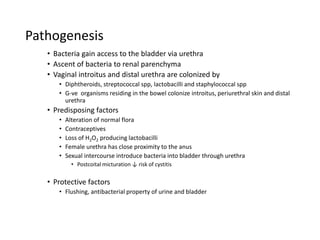 4. UTI in preg.pptx
