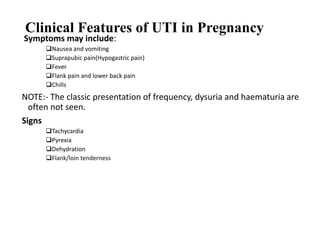 4. UTI in preg.pptx
