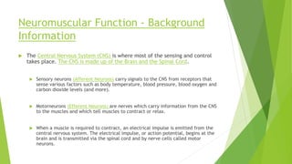 4.1 - Neuromuscular Function - Slideshow (1).pptx