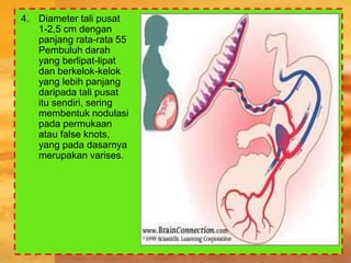 4. pertumbuhan janin--.ppt