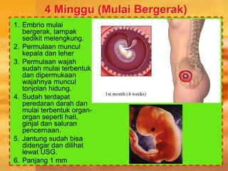 4. pertumbuhan janin--.ppt