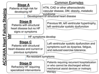 4. Drugs for HF.pptx
