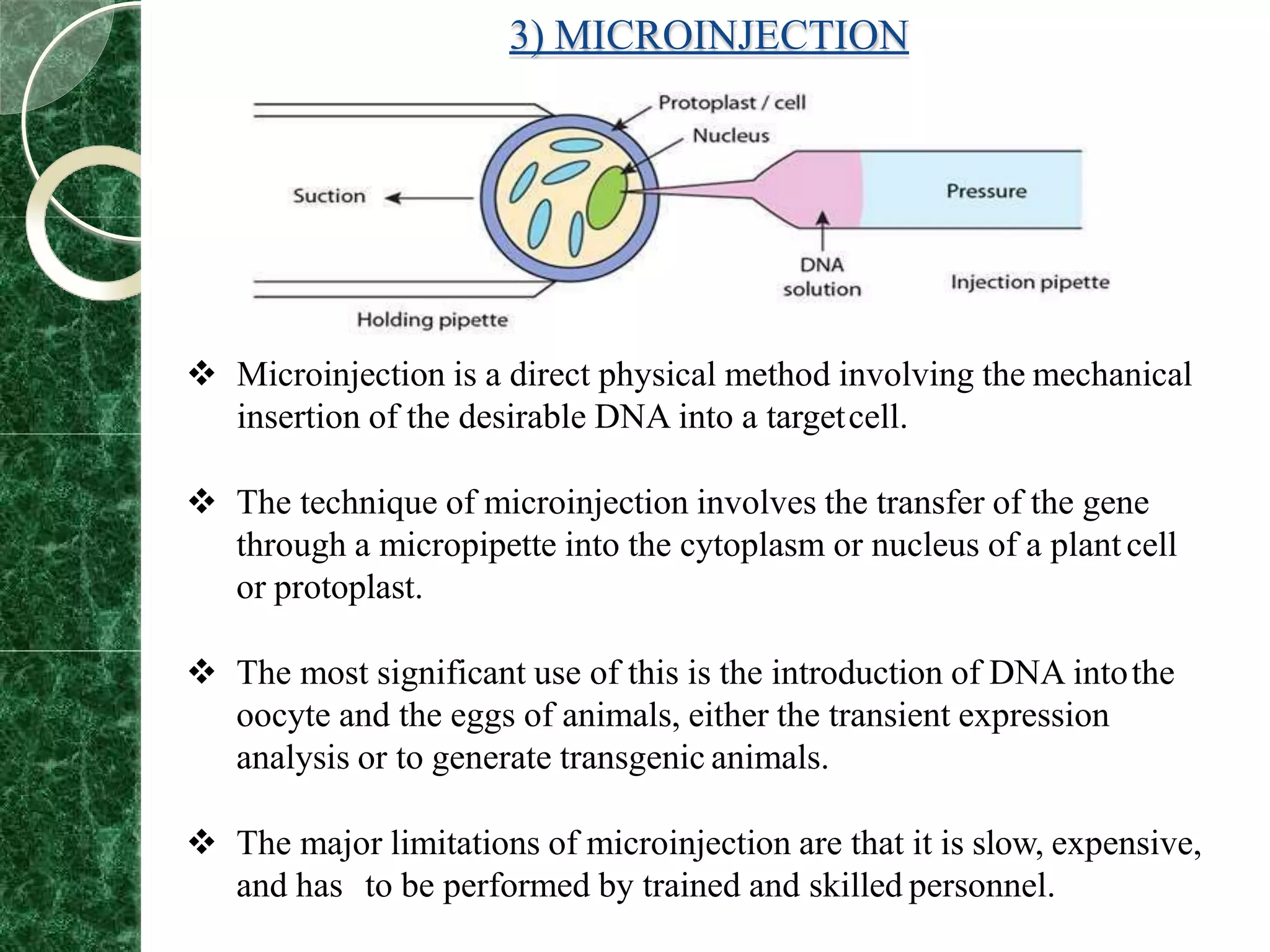 4. Applications of Biotechnology in Agriculture-II.pptx
